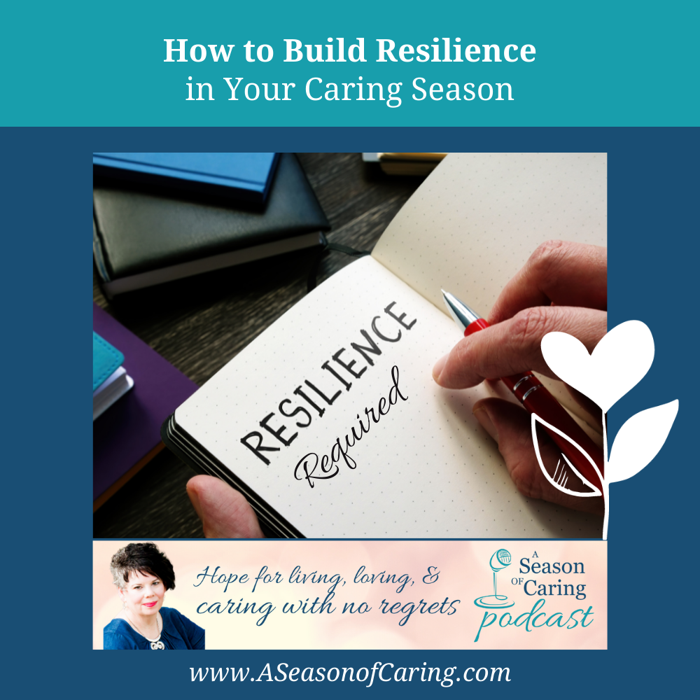 How to Build Resilience in Your Caring Season - Rayna Neises: A Season ...