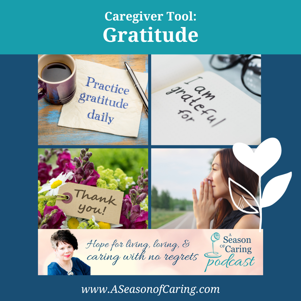 A Season of Caring Podcast - Rayna Neises: A Season of Caring